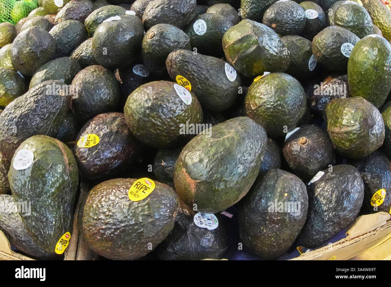 This Is A Display Of Avacados Imported From Mexico In A Pittsburgh