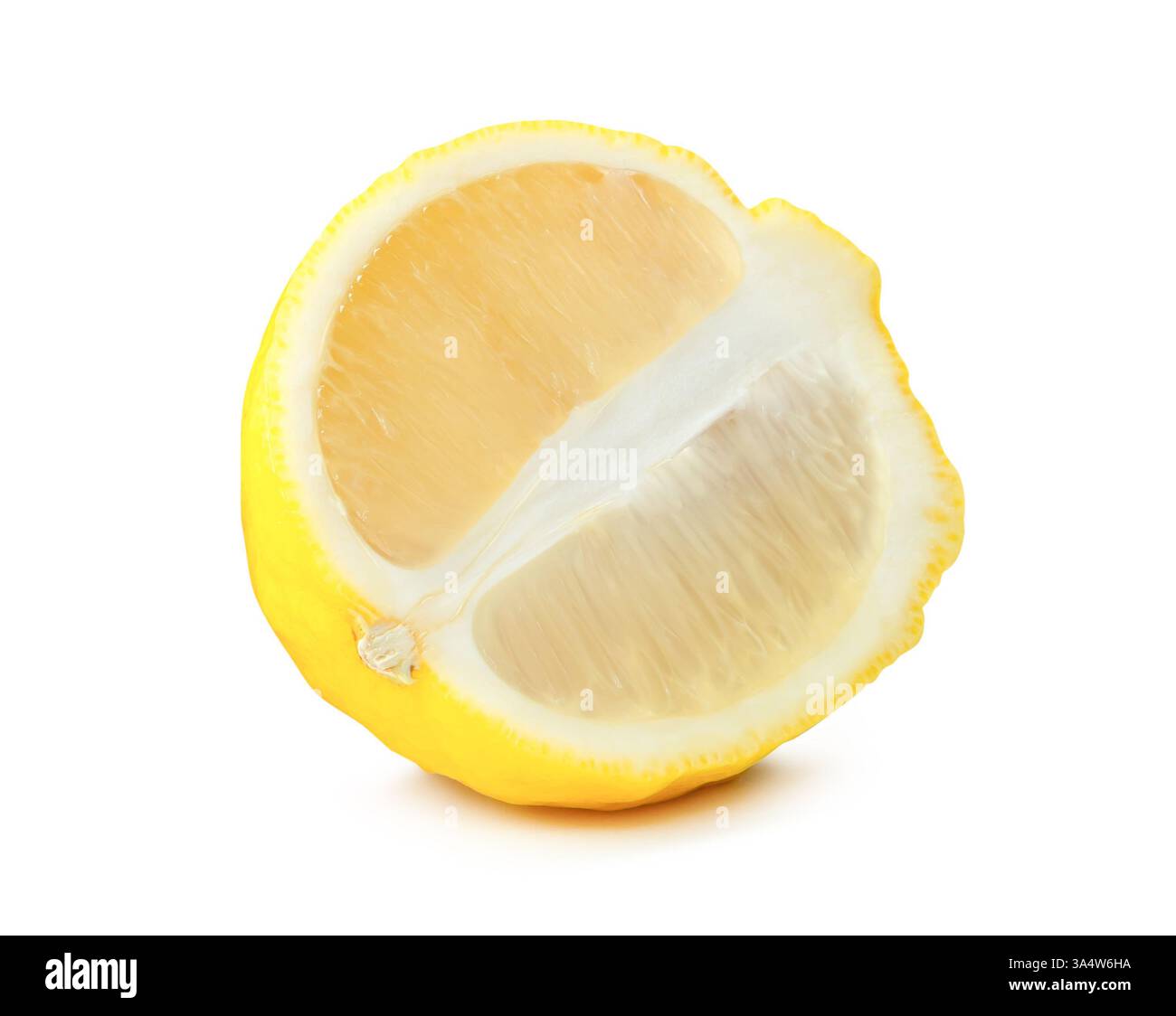 Front view of ripe yellow lemon fruit or slices in one ellipse or oval ...