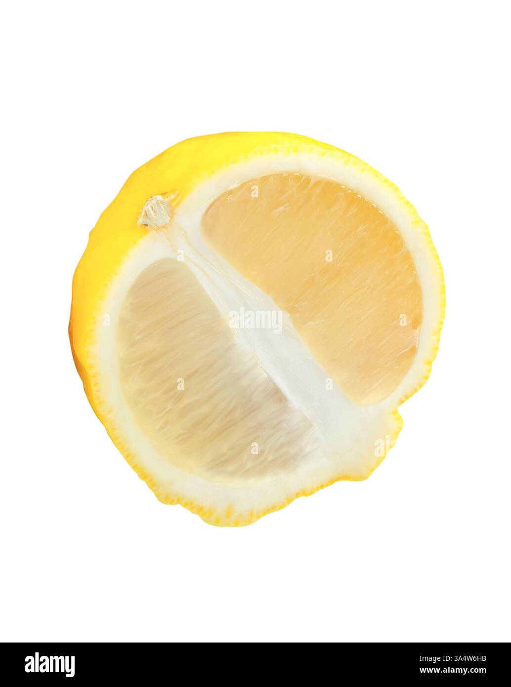 Top view of ripe yellow lemon fruit or slices in one ellipse or oval ...