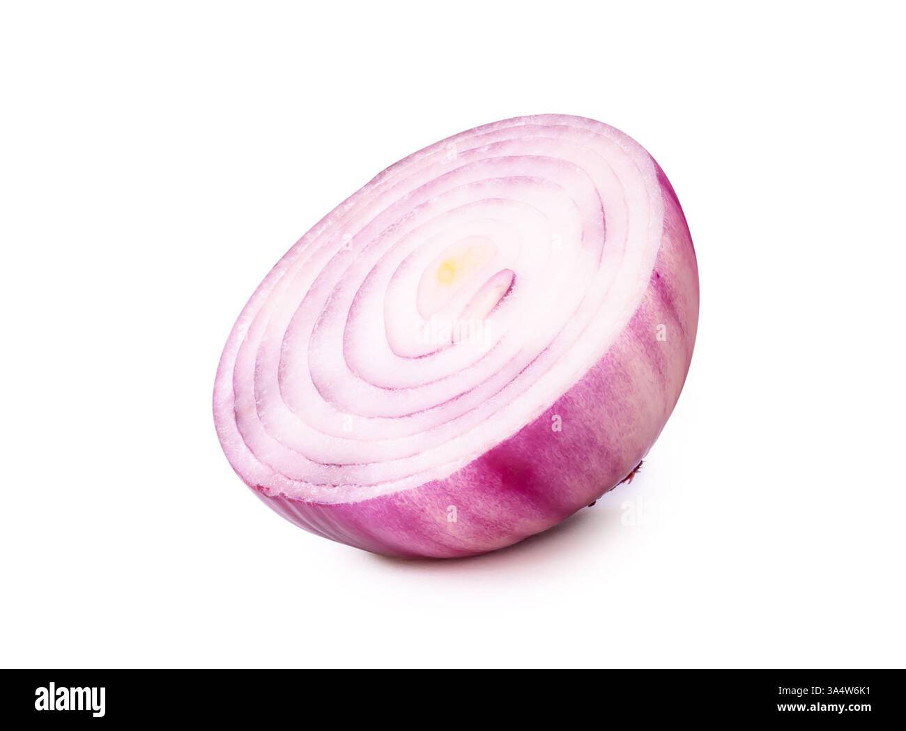 Side view of fresh red or purple onion bulb in half or slice in circle ...