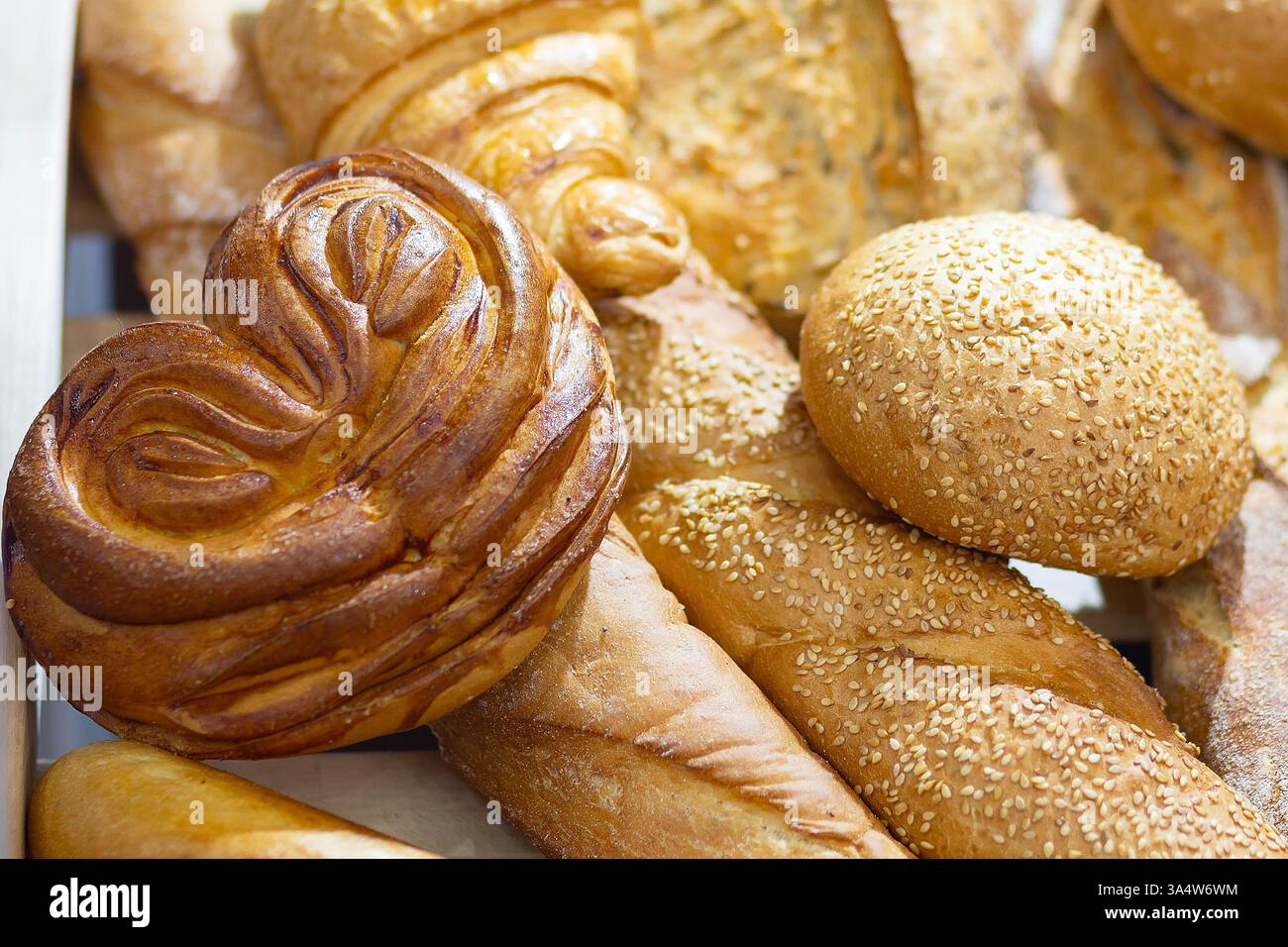 Assorted fresh bread varieties displayed artfully on a neutral ...