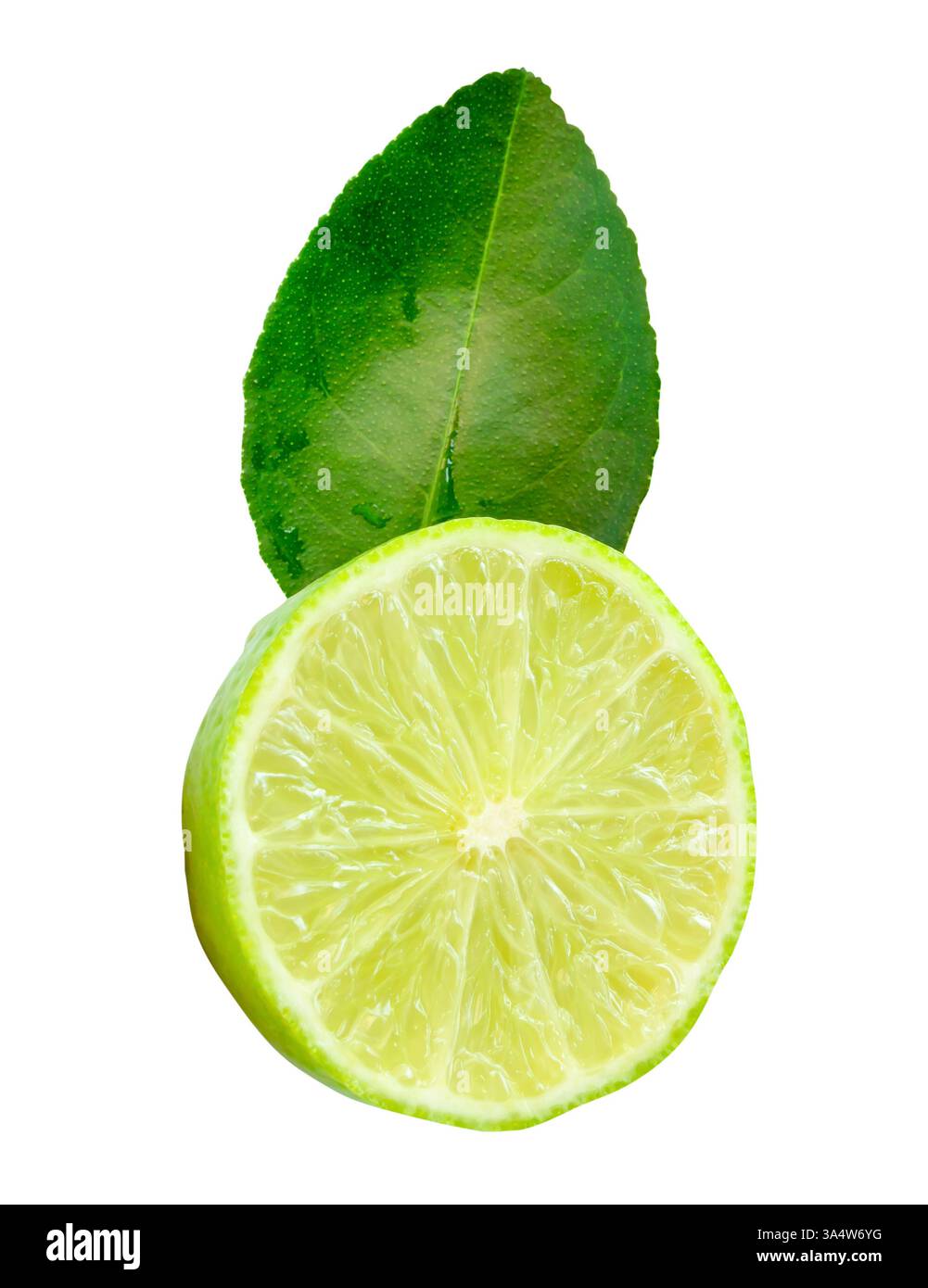 Front view of fresh green lemon half in circle shape with green leaf is ...