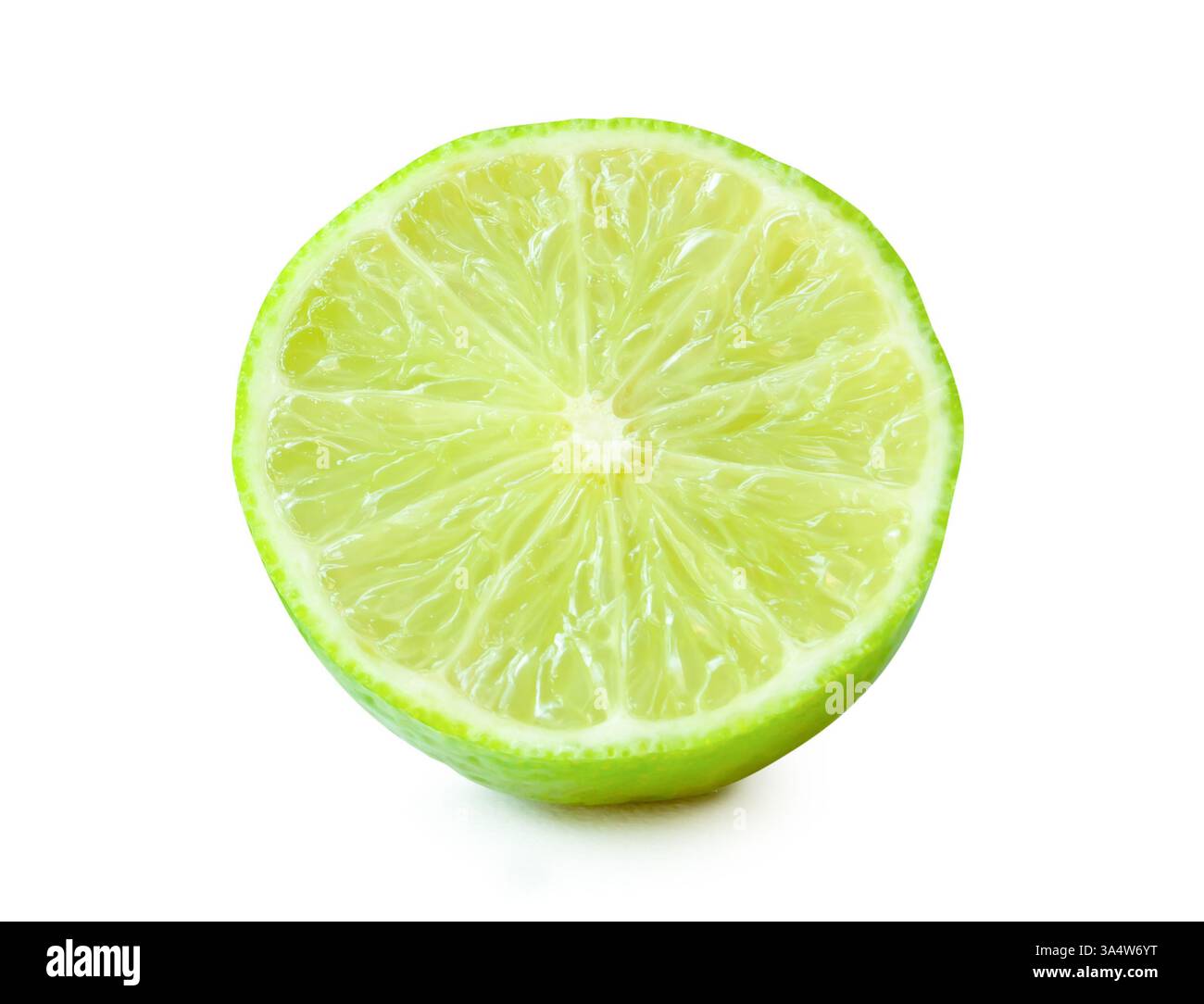 Front view of fresh green lemon fruit in half in circle shape without ...