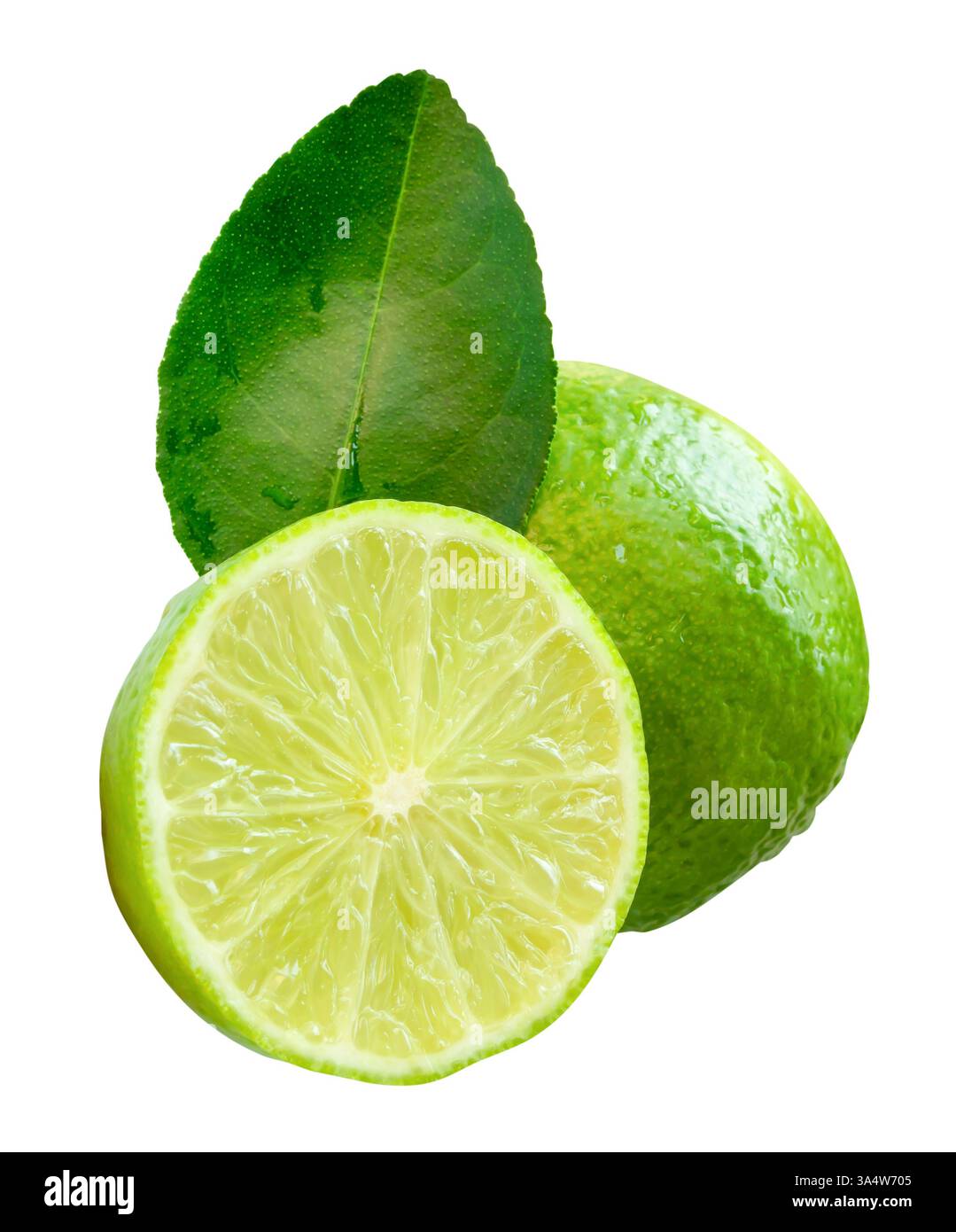 Front view of fresh green lemon fruit with half in circle shape and ...