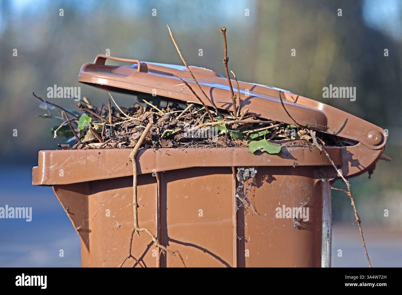 Entsorgung von Gartenabfällen in der braunen Tonne Ein brauner ...