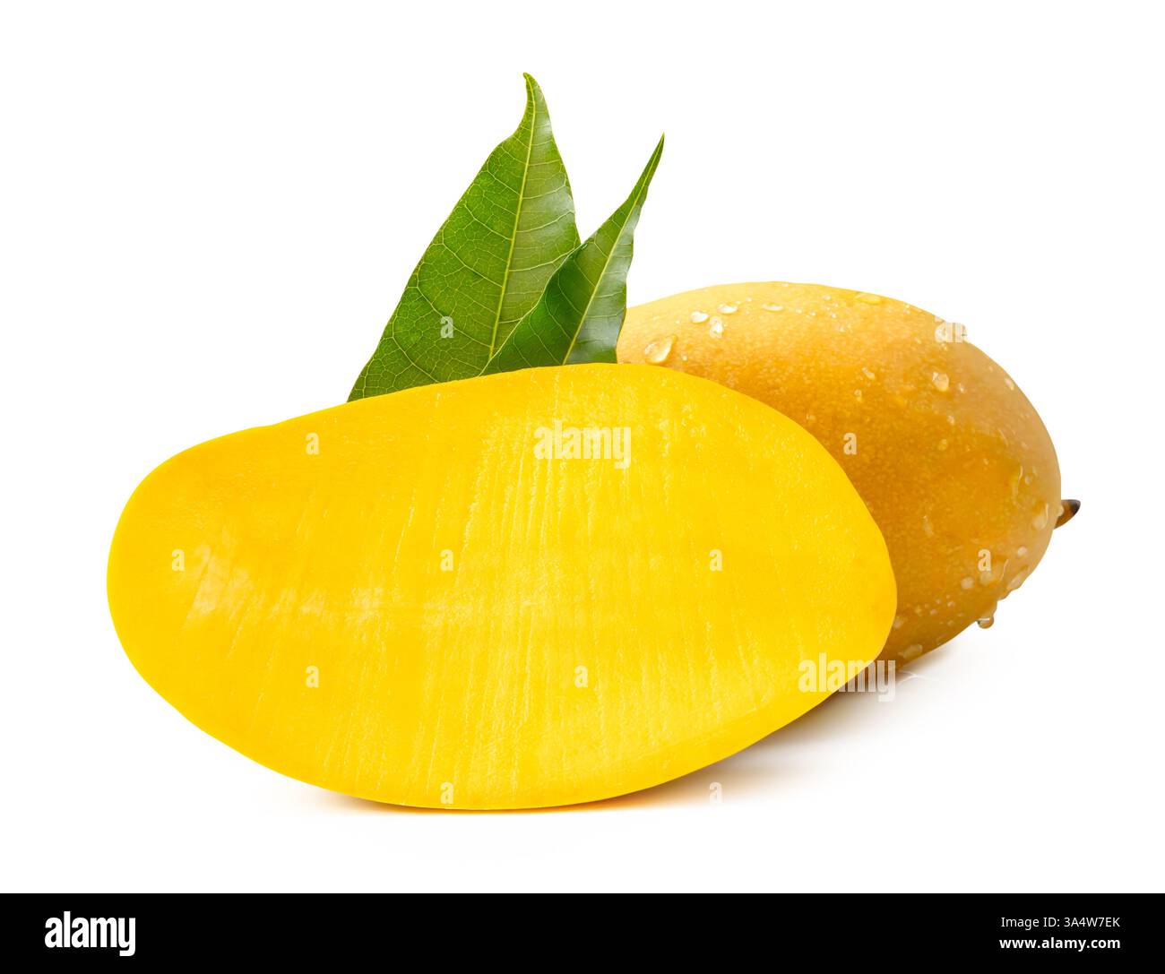 Single ripe yellow mango and half with green leaves and water droplets ...