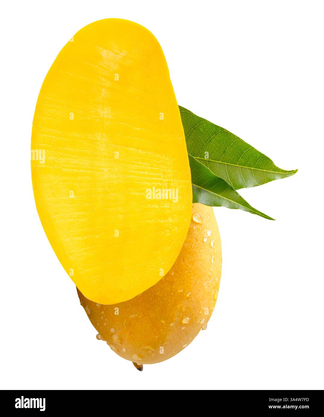Single ripe yellow mango fruit and half with green leaves and water ...