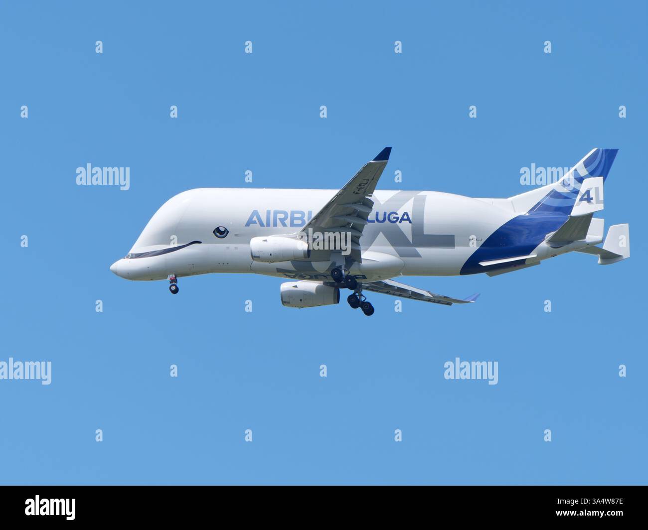 Airbus BelugaXL super transporter in profile during descent to Hawarden ...