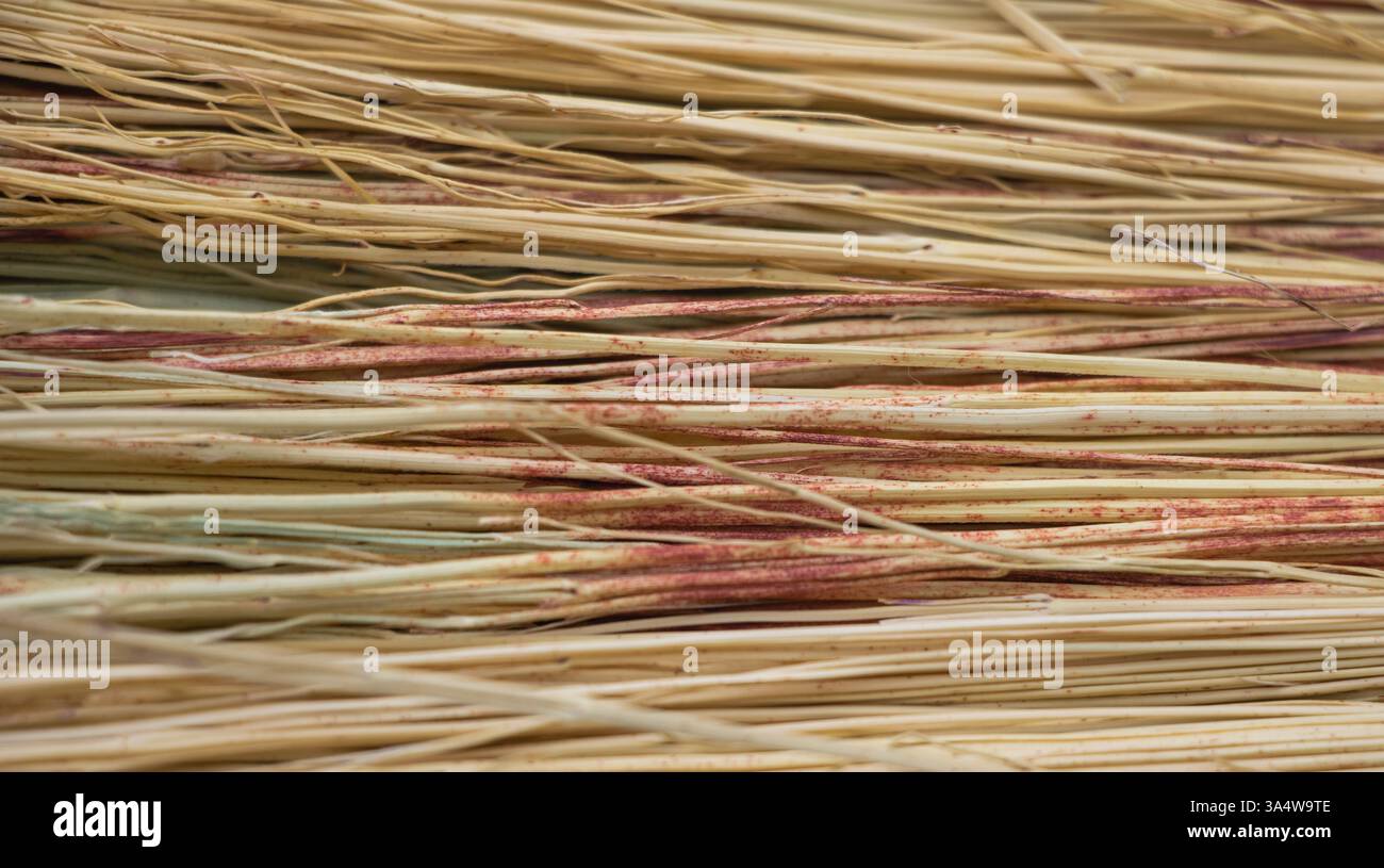 Slender straw strands hi-res stock photography and images - Alamy