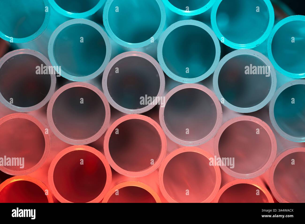 Red and blue casts of light on a bundle of plastic tubes from overhead ...
