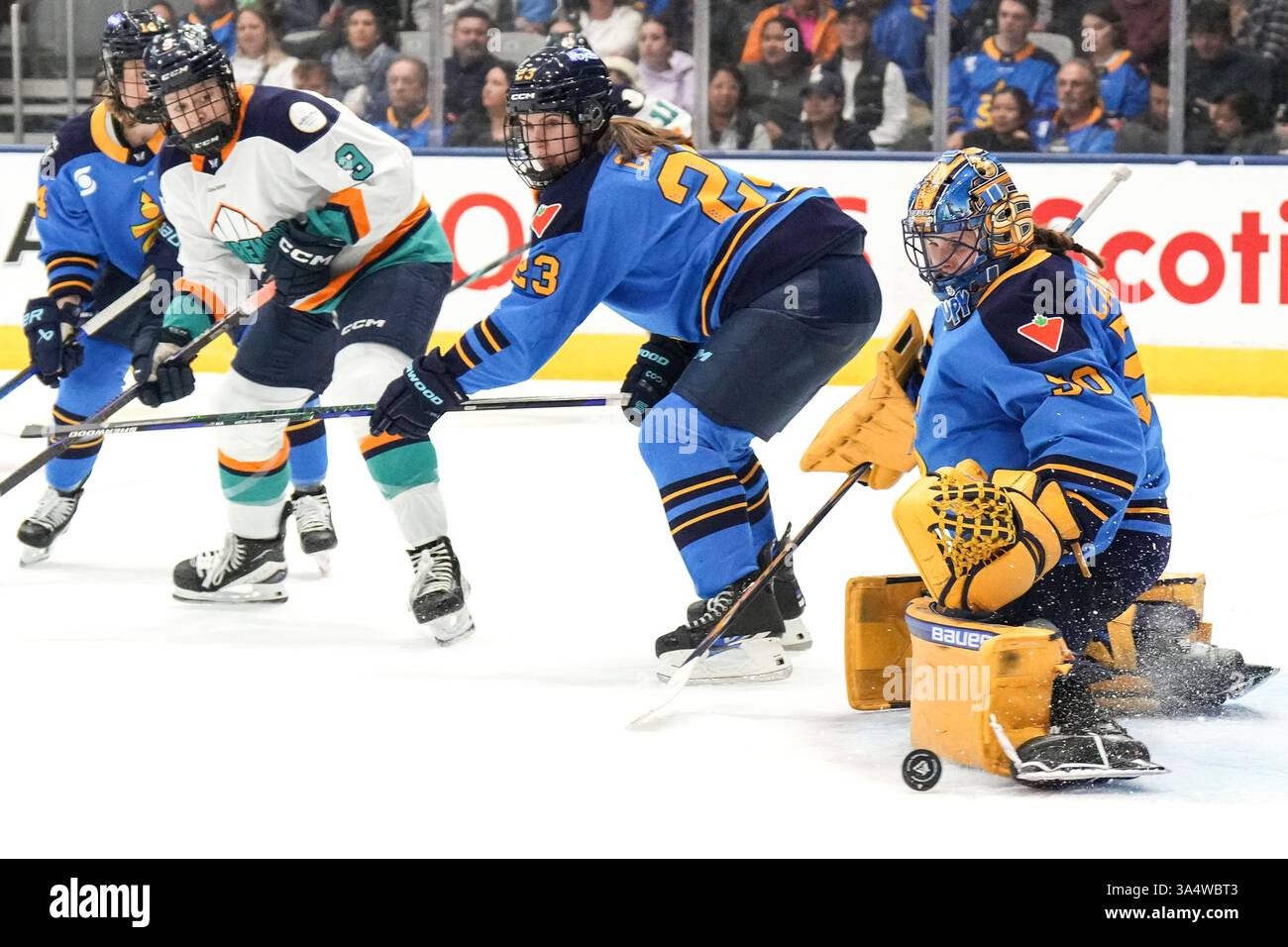 Toronto Sceptres goaltender Kristen Campbell makes a save against the ...
