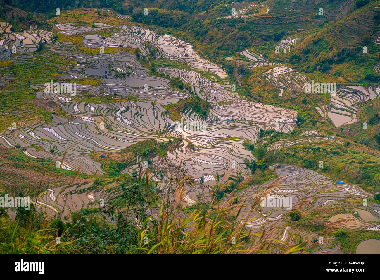 Yuanyang rice terrace from Laohuzui (the Tiger Mouth) in Yunnan ...
