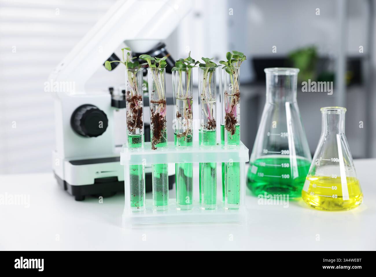Biochemistry. Microscope, glassware with liquids and plants on white ...