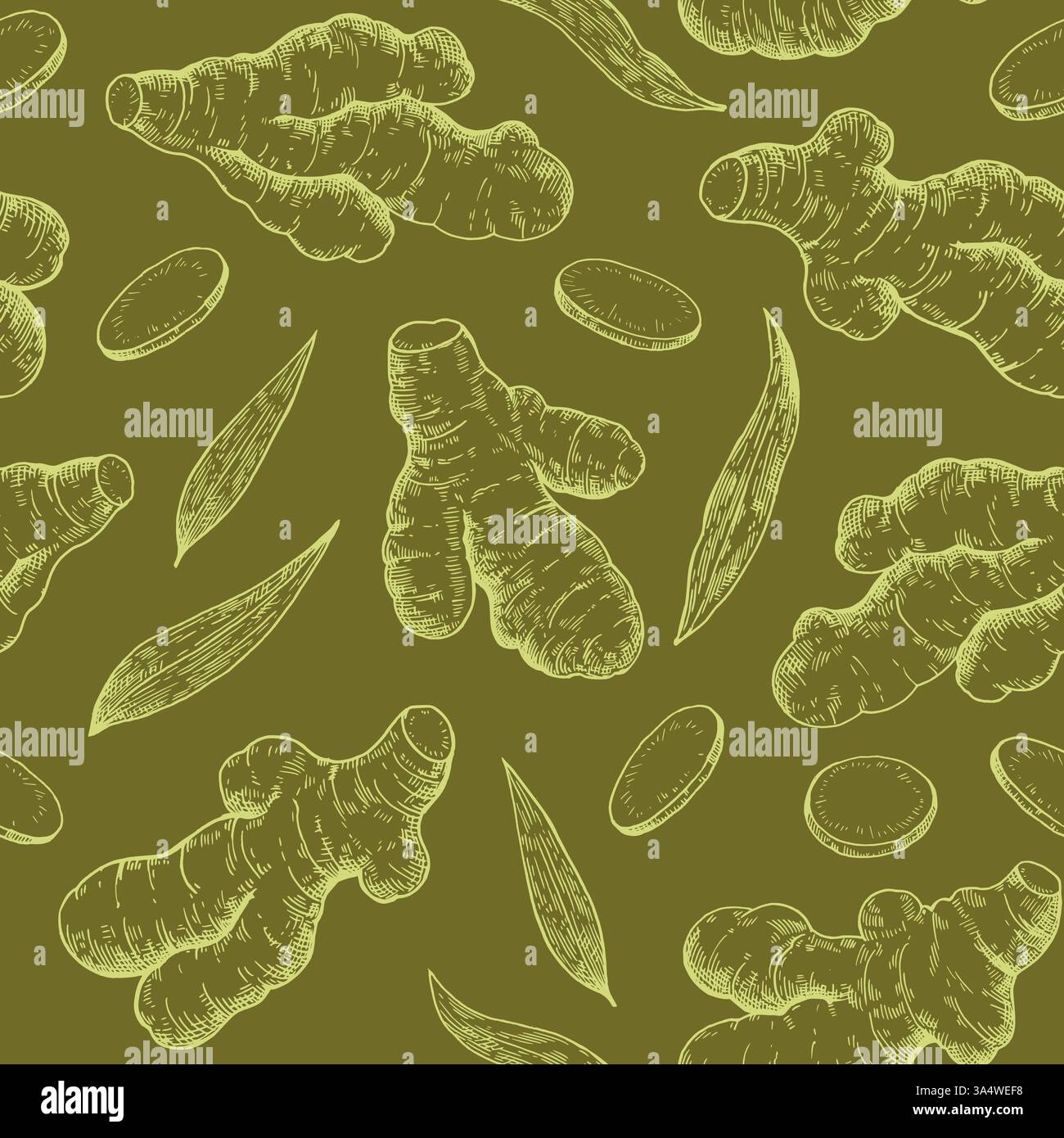 Set of ginger roots in engraving style. Black and white ink ...