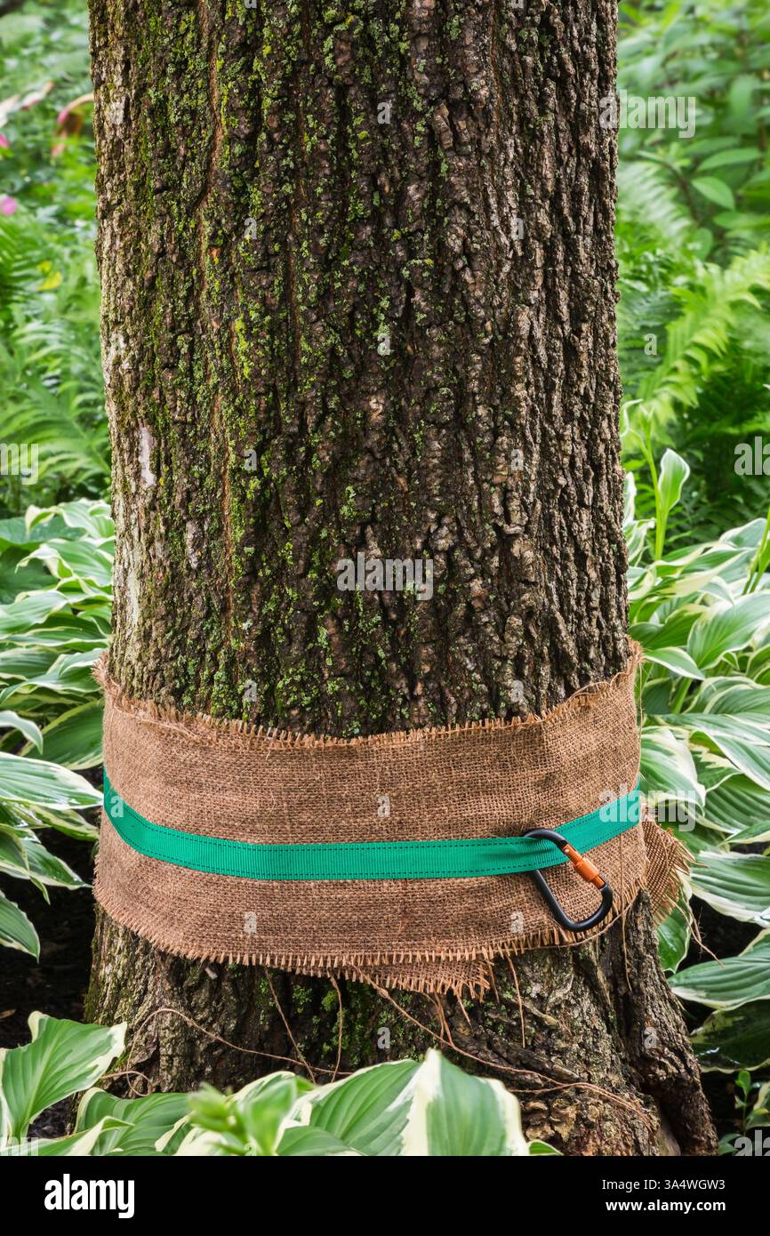 Rope being used for protection hi-res stock photography and images - Alamy