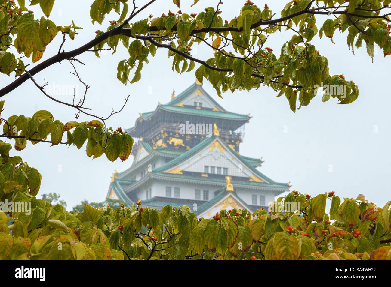 Osaka, Japan - Sep 22 2024, Panoramic view of Osaka Castle among the ...