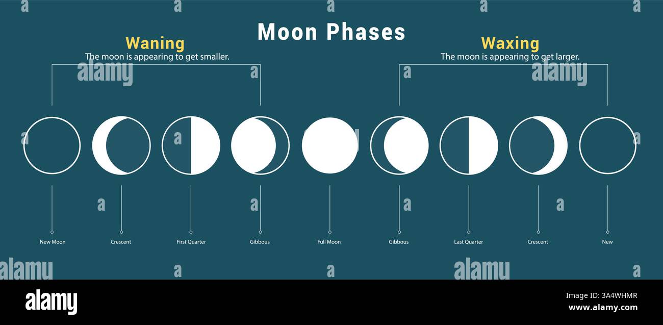 Moon phases drawing chart clipart set. Moon waning and waxing phases ...