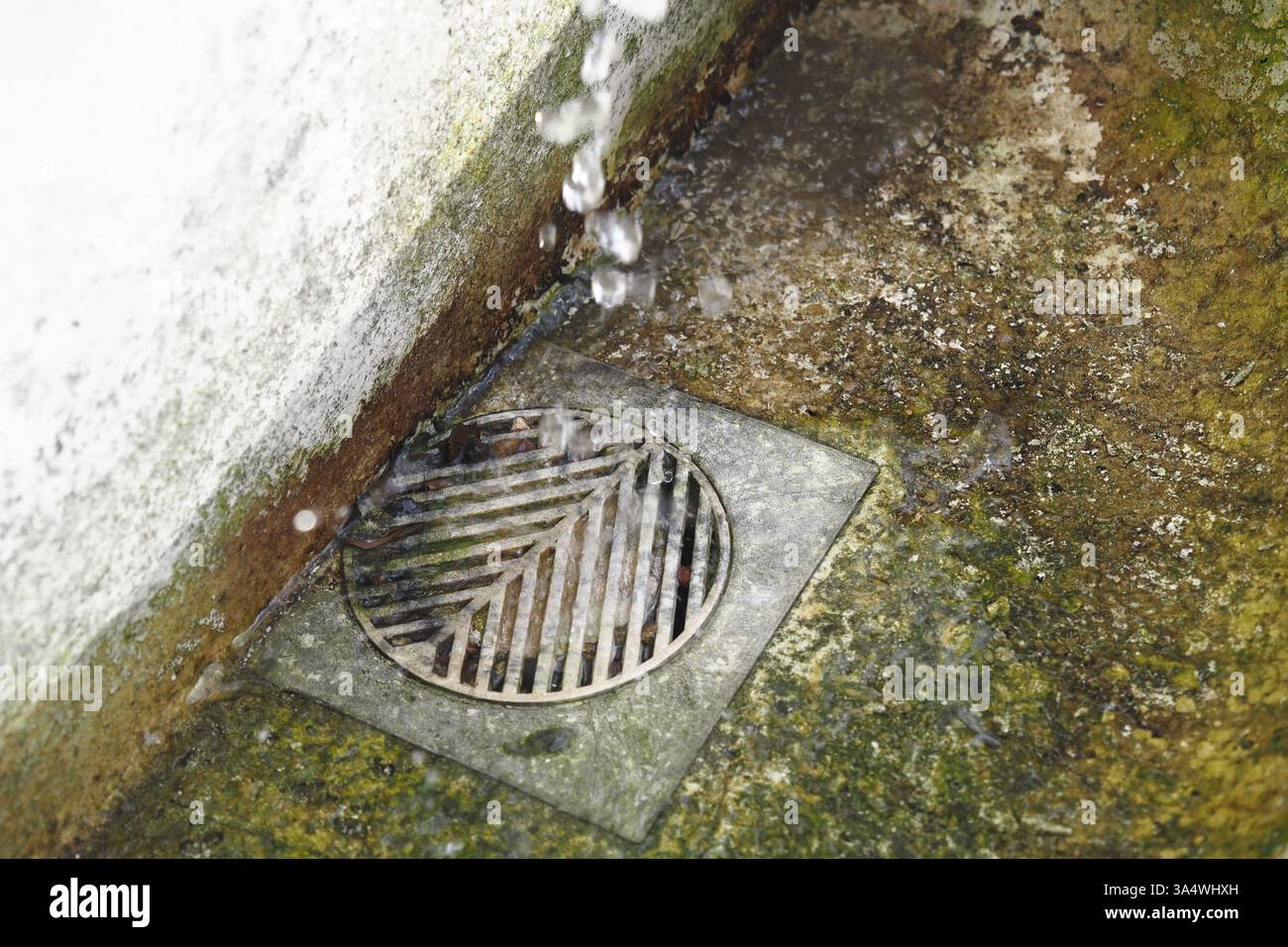 Water dripping from a wall into a metal drain on a concrete surface ...