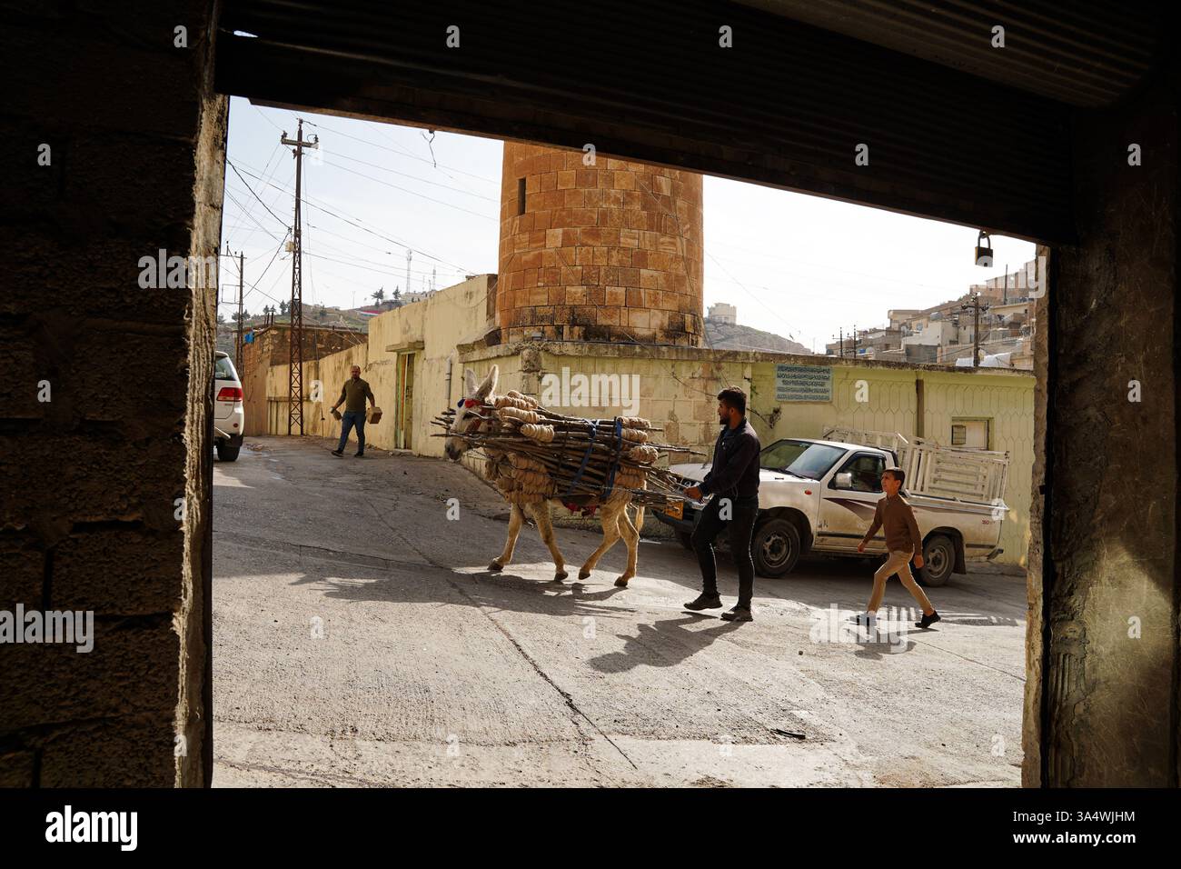 Akre, Iraq. 19th Mar, 2025. An Iraqi Kurdish man uses a donkey to ...