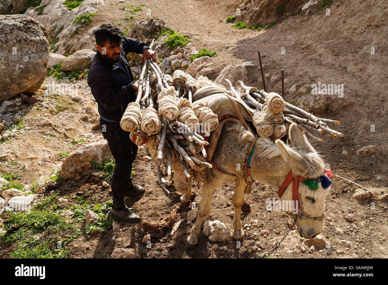 Akre, Iraq. 19th Mar, 2025. An Iraqi Kurdish man lowers torches from a ...