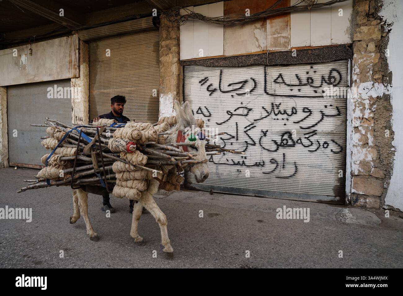 Akre, Iraq. 19th Mar, 2025. An Iraqi Kurdish man uses a donkey to ...