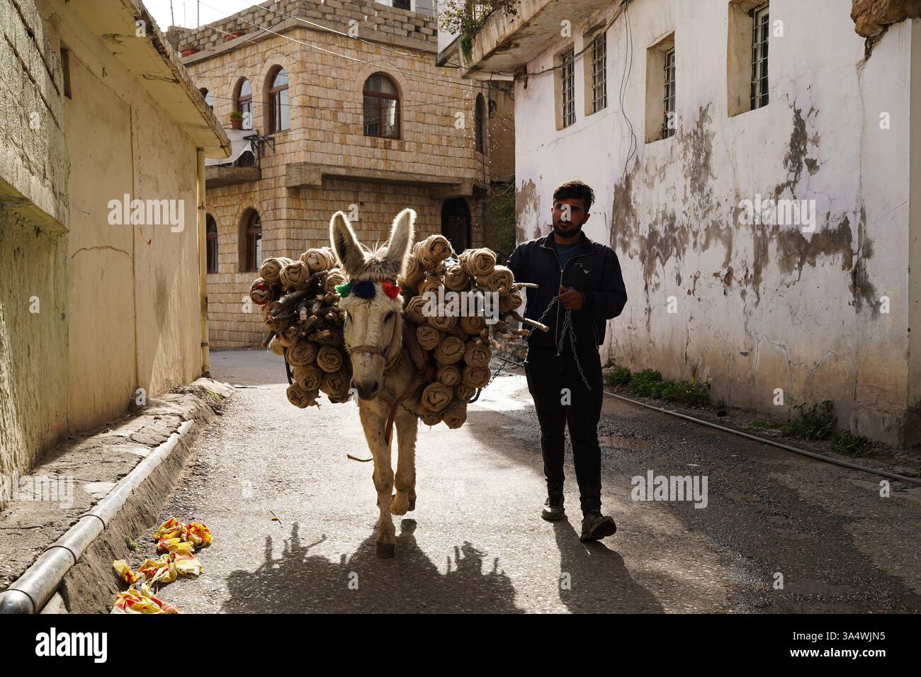 An Iraqi Kurdish man uses a donkey to transport torches ahead of the ...