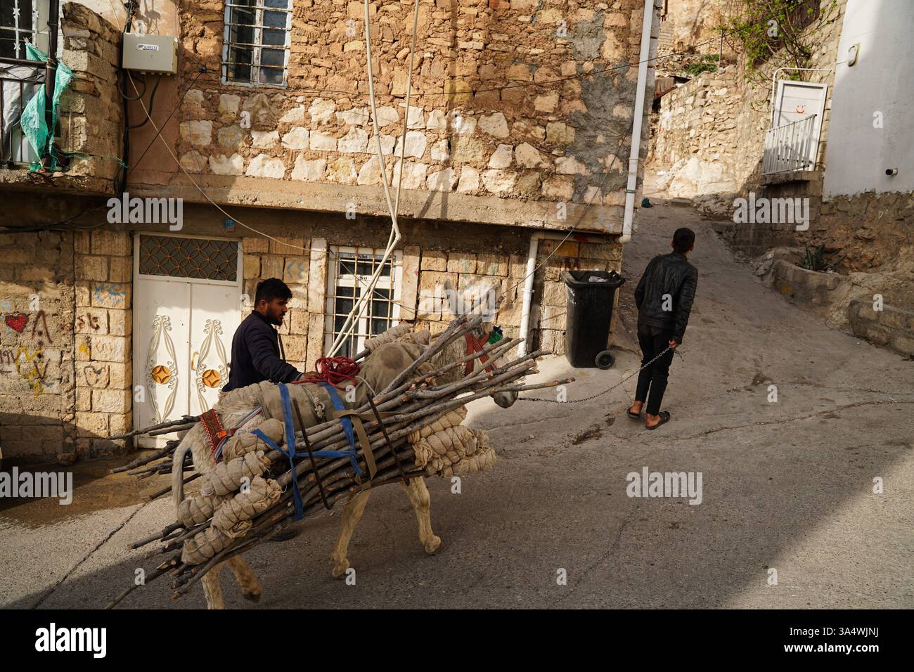 Iraqi Kurdish men use a donkey to transport torches ahead of ...