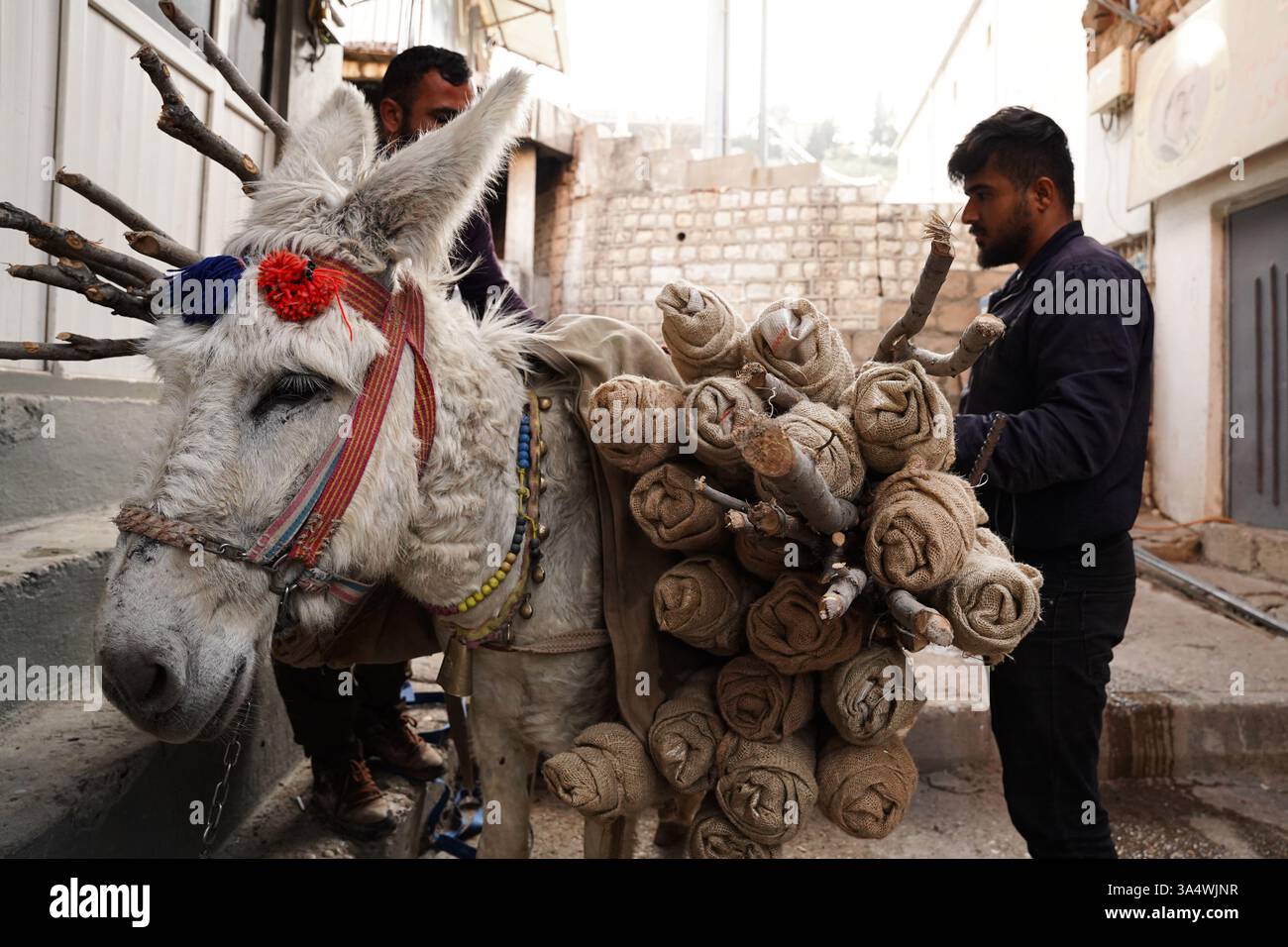 Akre, Iraq. 19th Mar, 2025. Iraqi Kurdish men use a donkey to transport ...