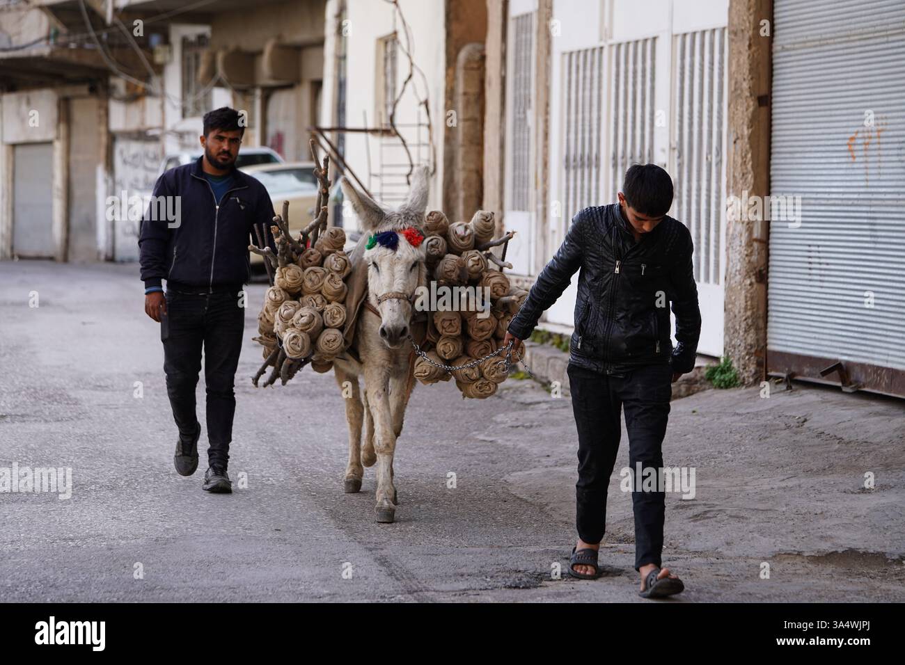 Akre, Iraq. 19th Mar, 2025. Iraqi Kurdish men use a donkey to transport ...