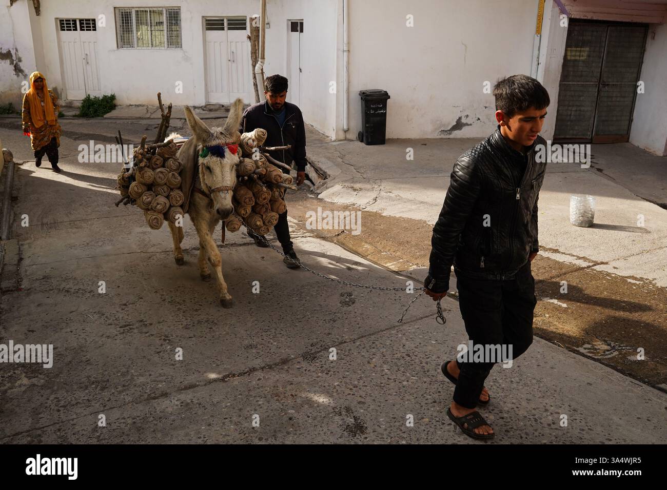 Akre, Iraq. 19th Mar, 2025. Iraqi Kurdish men use a donkey to transport ...