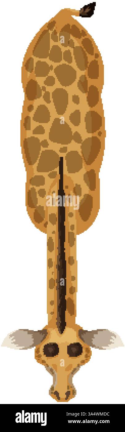 Illustration of a giraffe from a top perspective Stock Vector Image ...