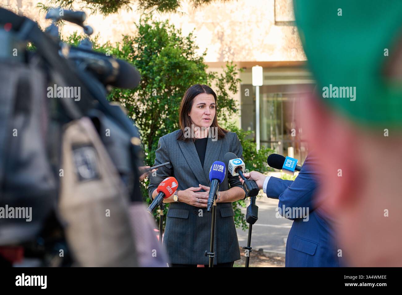 Domestic violence expert Professor Kate Fitz-Gibbon speaks to the media ...