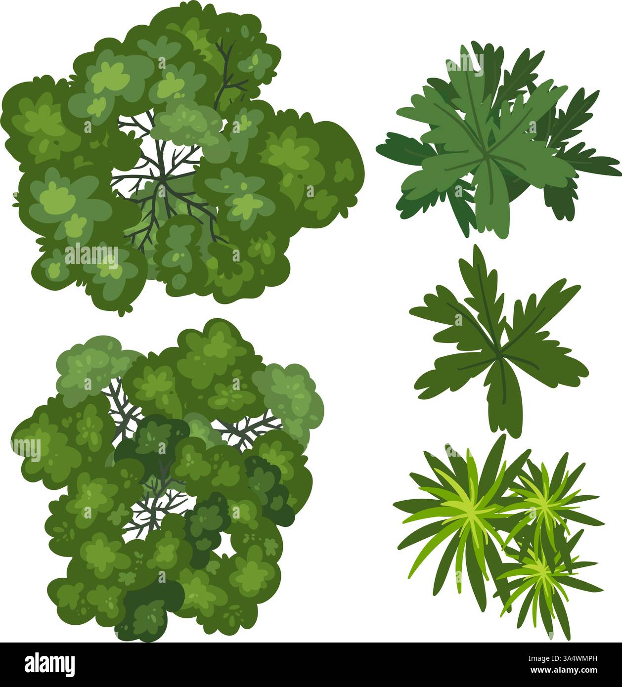 Illustration of various green plants from above Stock Vector Image ...