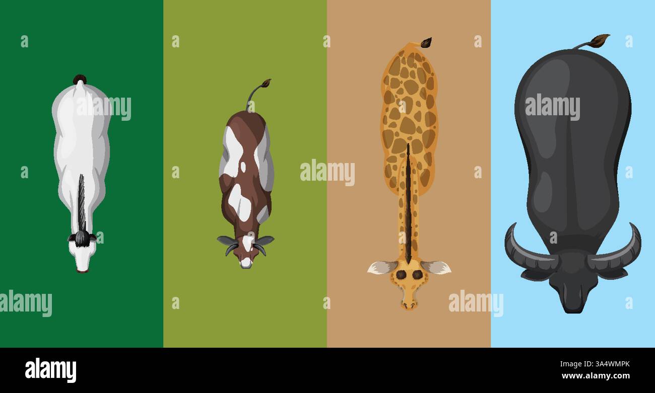 Illustration of four animals from a top perspective Stock Vector Image ...