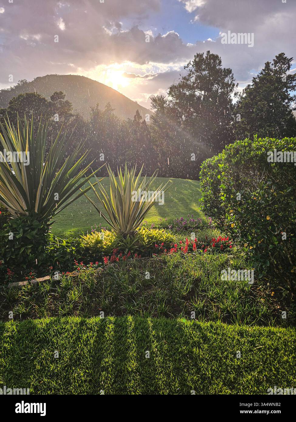 Rain in scenic backyard garden hi-res stock photography and images - Alamy