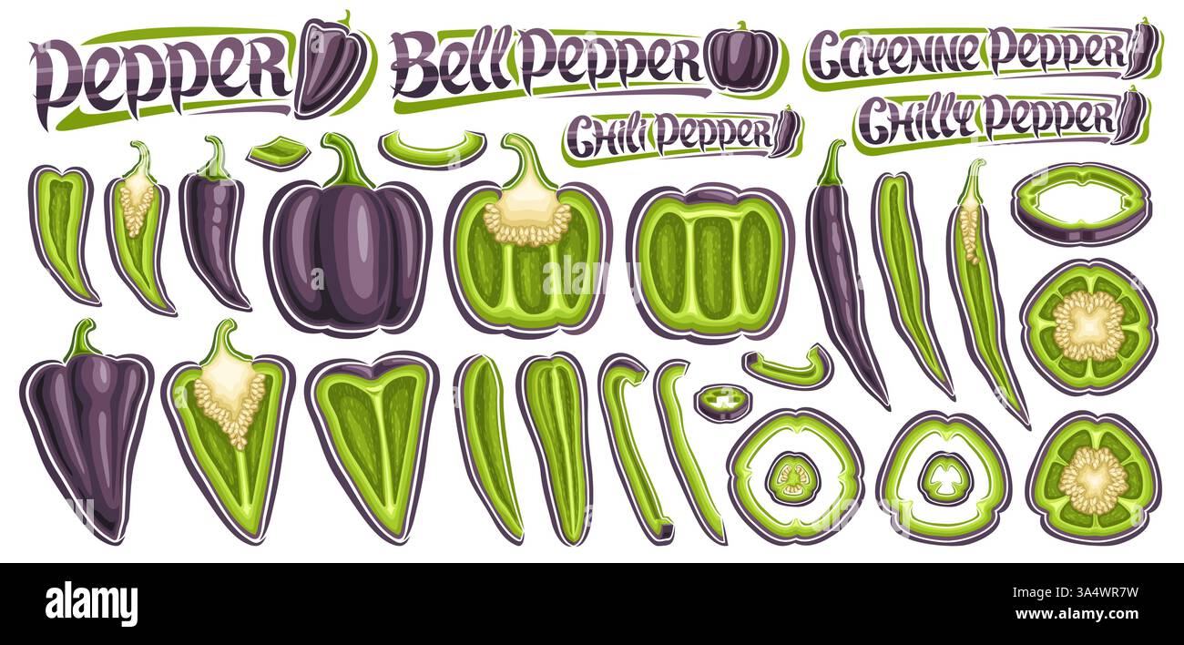 Vector Black Pepper Set, collection of cut out outline illustrations of ...