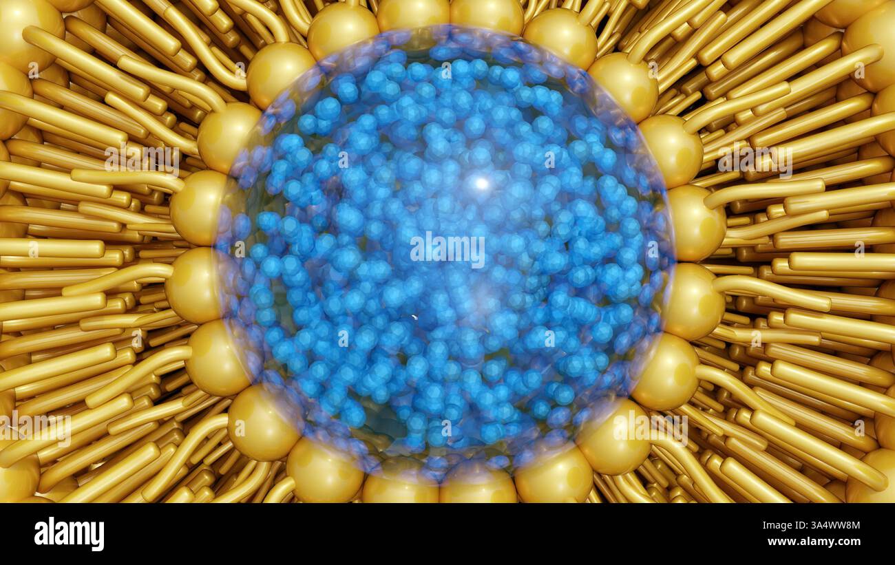 A 3D rendering of liposome in a cross-sectional, revealing its internal ...
