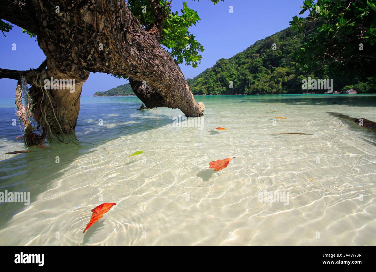Surin Islands National Park (Moo Koh Surin) one of the most beautiful ...