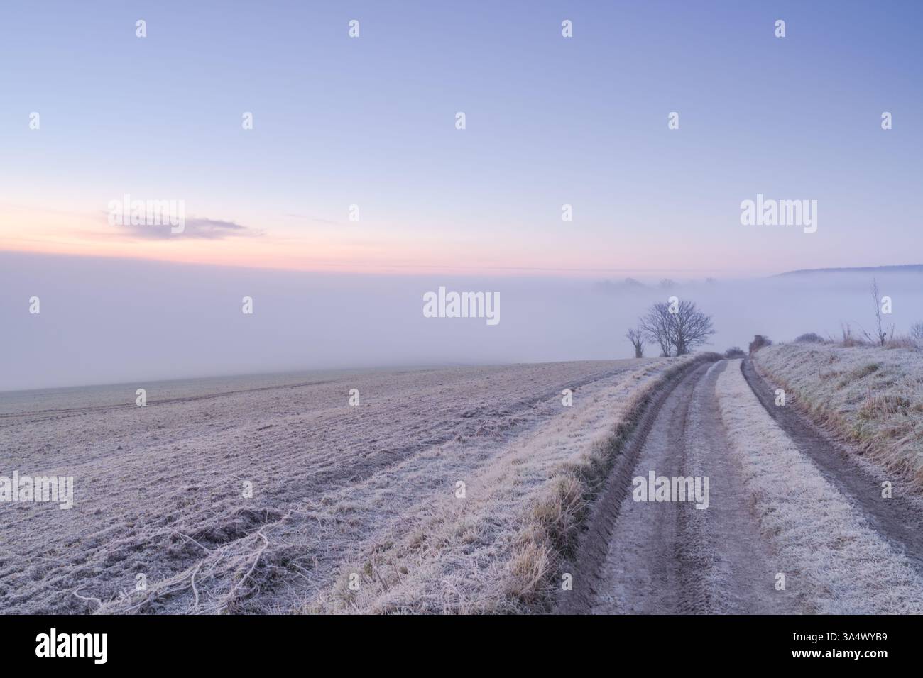 A bitterly cold morning with frost on the South Downs way on Bury Hill ...