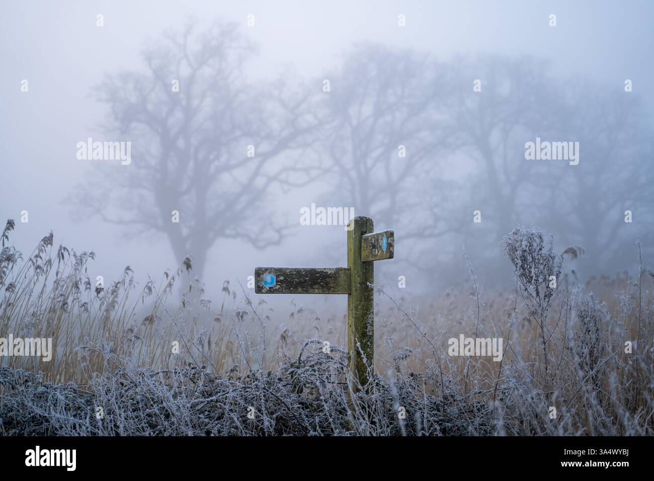 A sign post on the South Downs way next to the River Arun on a very ...