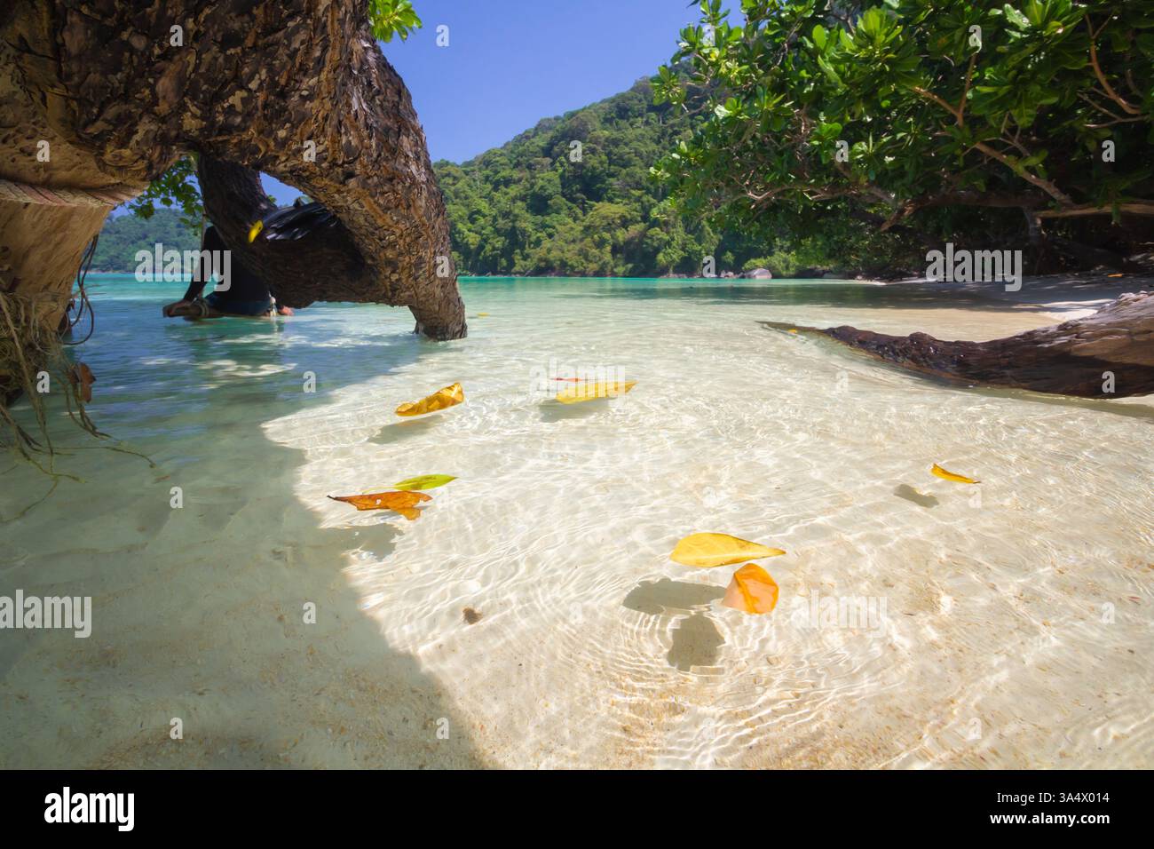Surin Islands National Park (Moo Koh Surin) one of the most beautiful ...