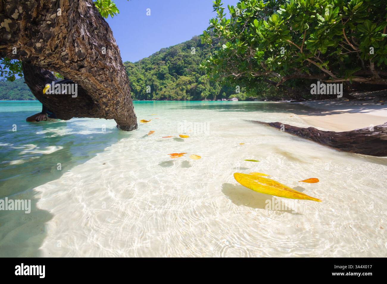 Surin Islands National Park (Moo Koh Surin) one of the most beautiful ...