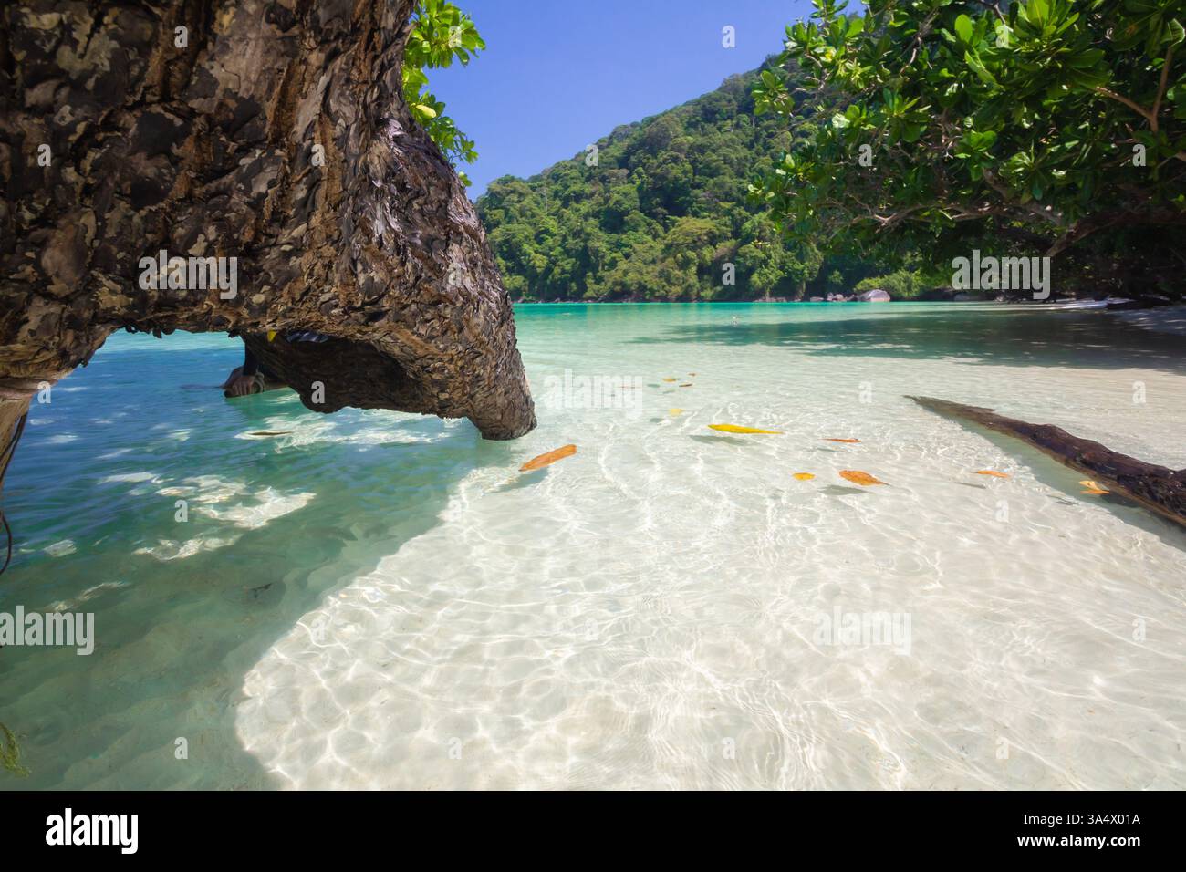 Surin Islands National Park (Moo Koh Surin) one of the most beautiful ...