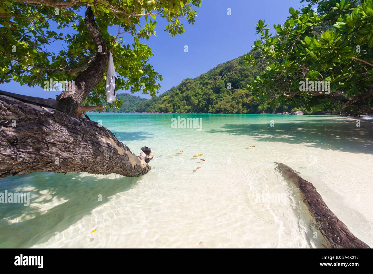 Surin Islands National Park (Moo Koh Surin) one of the most beautiful ...