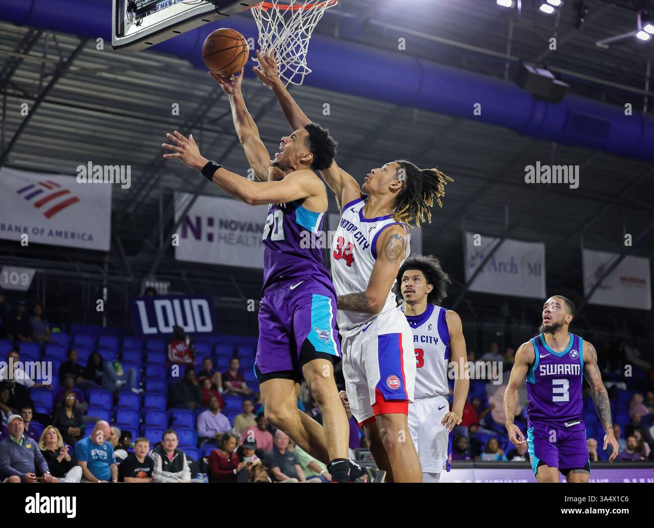 March 19, 2025, Greensboro, North Carolina, USA: Greensboro Swarm guard ...