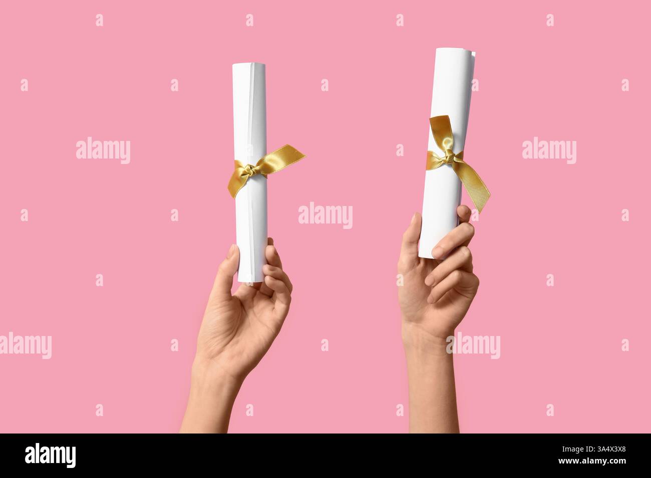 Female hands holding diplomas with ribbons on pink background Stock ...