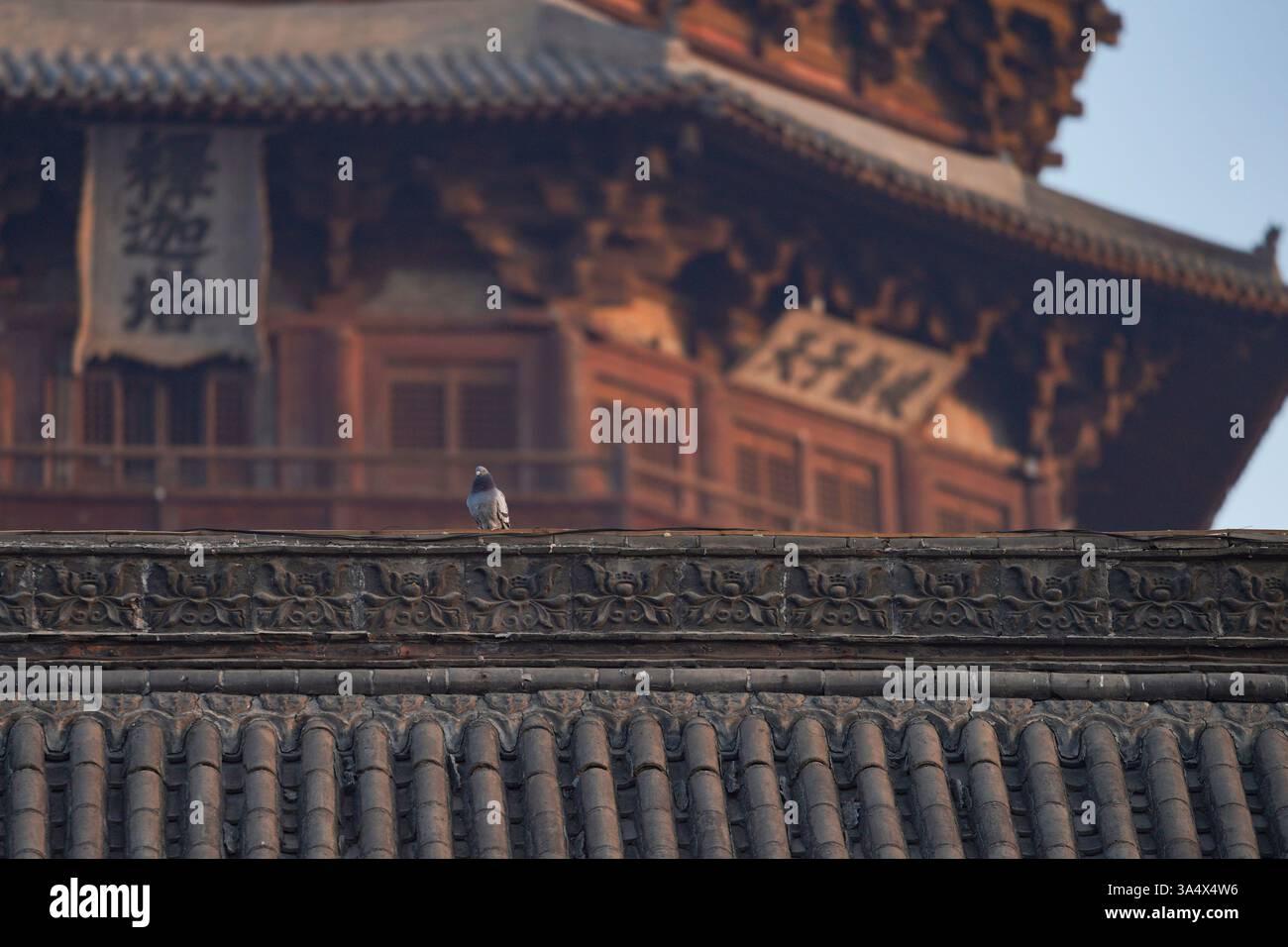 (250320) -- YINGXIAN, March 20, 2025 (Xinhua) -- This photo taken on ...