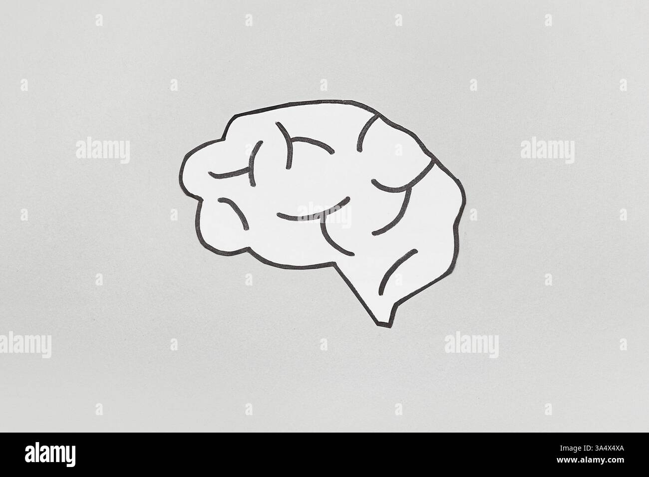 Paper human brain on grey background Stock Photo - Alamy
