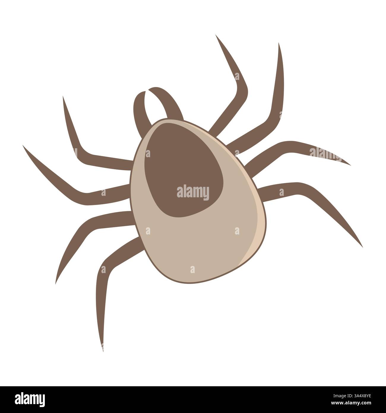 Cartoon brown tick with eight legs on white background Stock Vector ...
