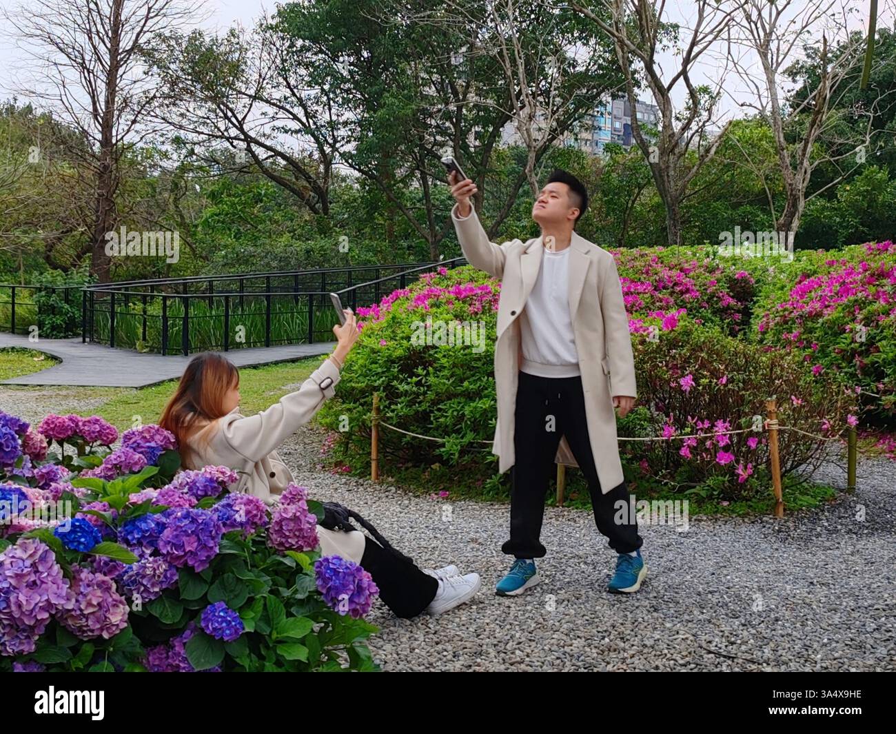 **CHINESE MAINLAND, HONG KONG, MACAU AND TAIWAN OUT** Spring flowers ...